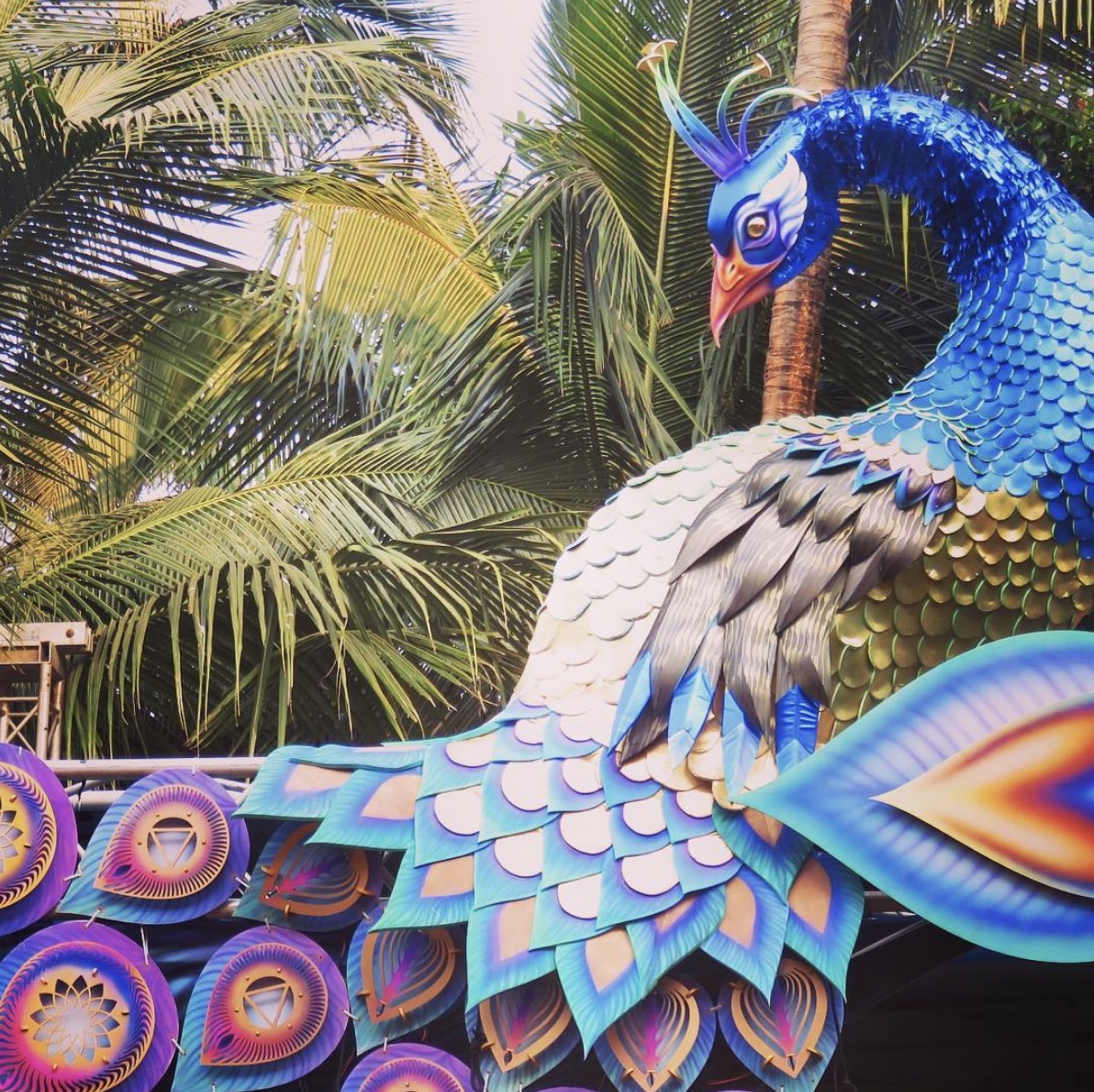 Artescape by Carin Dickson – David Delvalle – Digital Creative Director